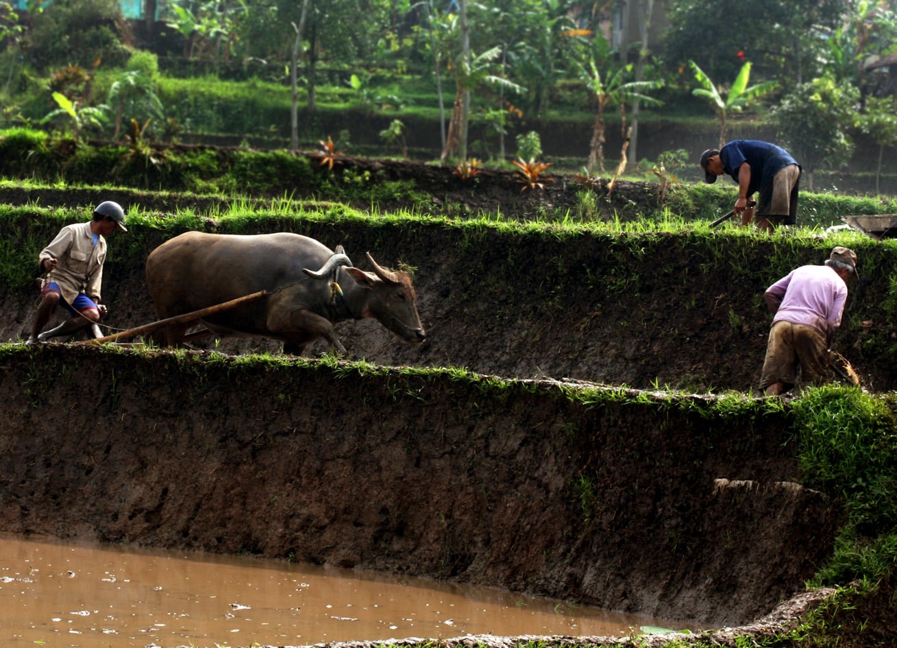 Ngaran Wanci Dina Kahirupan Urang Sunda Baheula – Sunda News